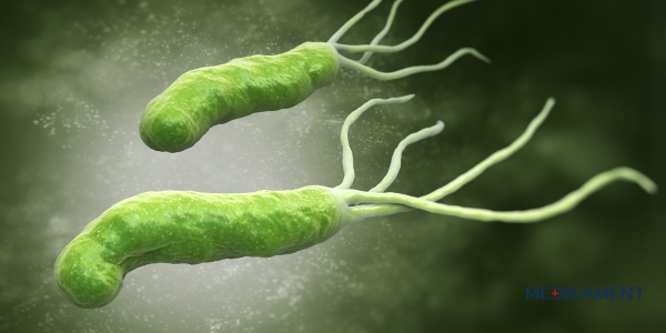 Helicobacter pylori: Príznaky, liečba a prevencia žalúdočných ťažkostí ...